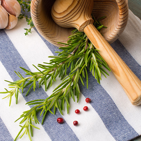 GCS - Rosemary Base 迷迭香基底油 – Candle Element