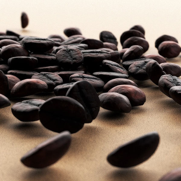 GCS - Tonka Bean Base 零陵香豆基底油 – Candle Element