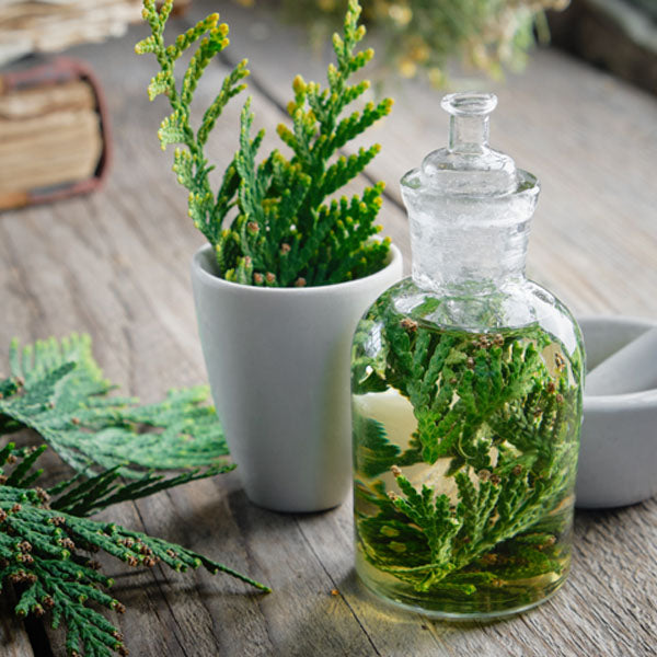 Cypress Water Phytoncide Water – Candle Element